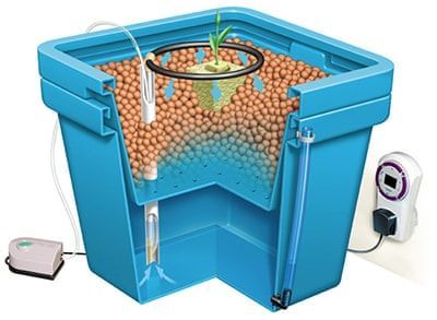 The Wilma 8 Pot Bioponics Drip System Nutriculture